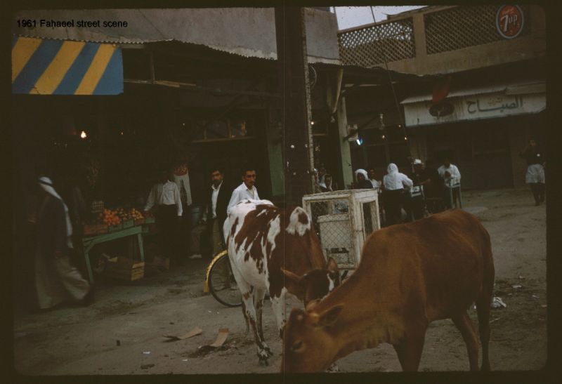 Everyday Life of Kuwait in the Early 1960s Through Amazing Color Photos ...