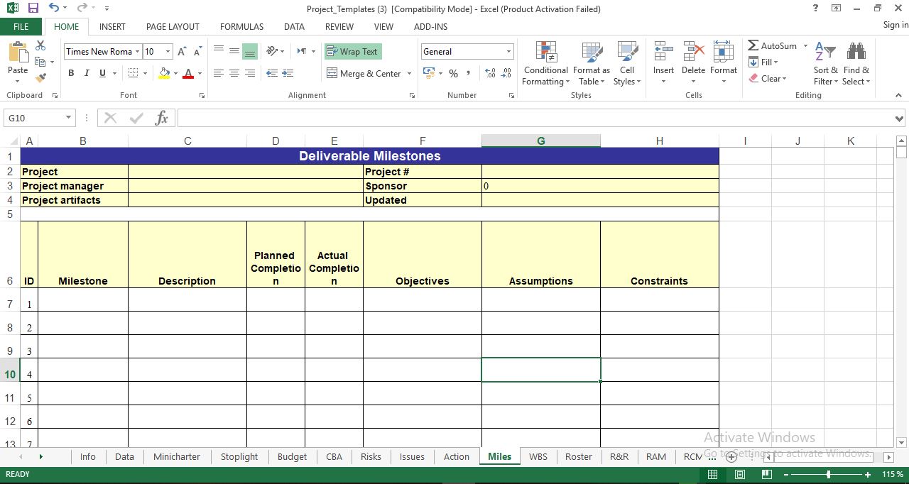 Project Management Template Excel