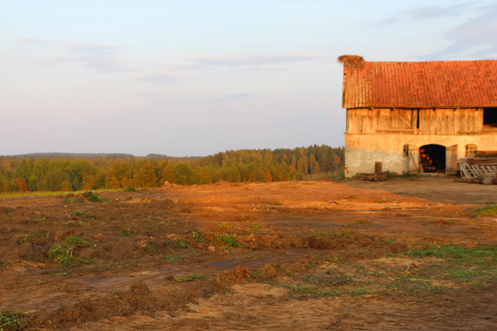Puste pole za stodołą...