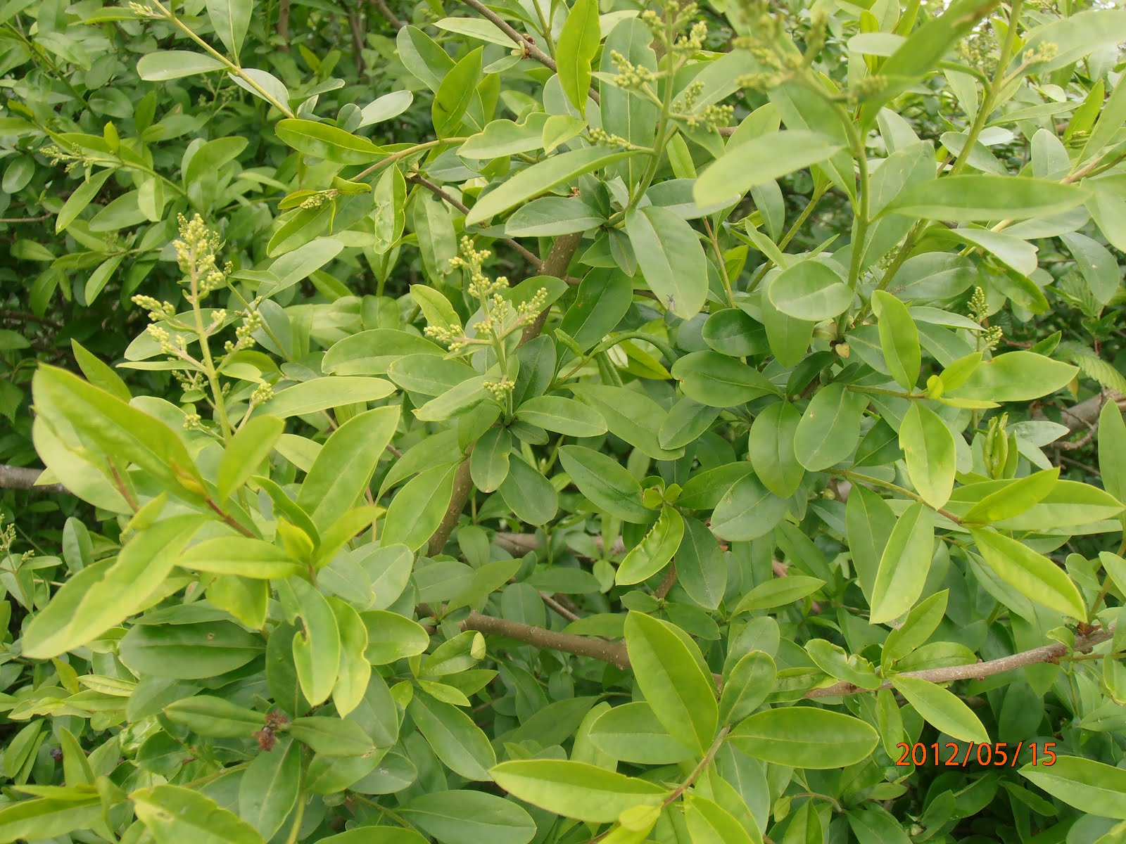 Kijk naar de berm: 3E KEER