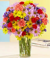 Info : Bunga ASTER - Bunga Lambang Cinta ~ It's Mine