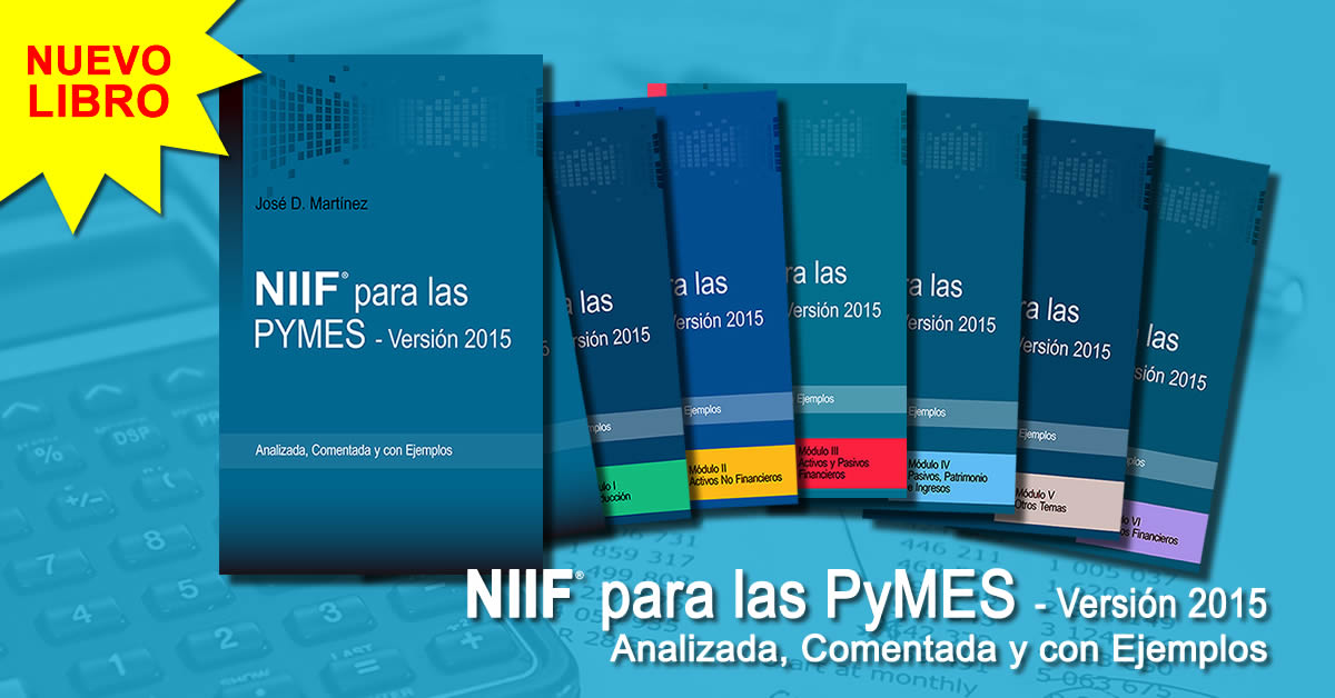 NIIF PYMES - Venezuela: NIIF para las PYMES - Versión 2015 (Libro Electrónico)