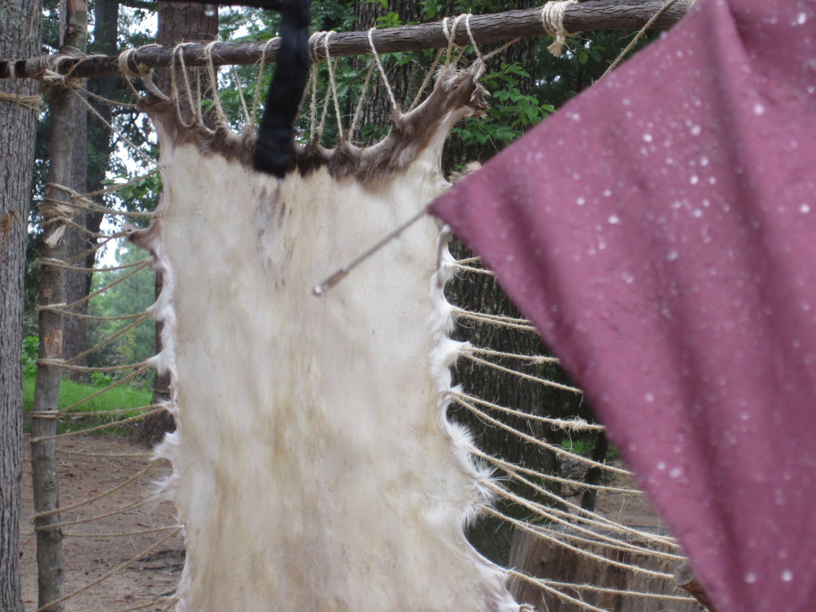 Revolutionary, My Dear George!: Jamestown