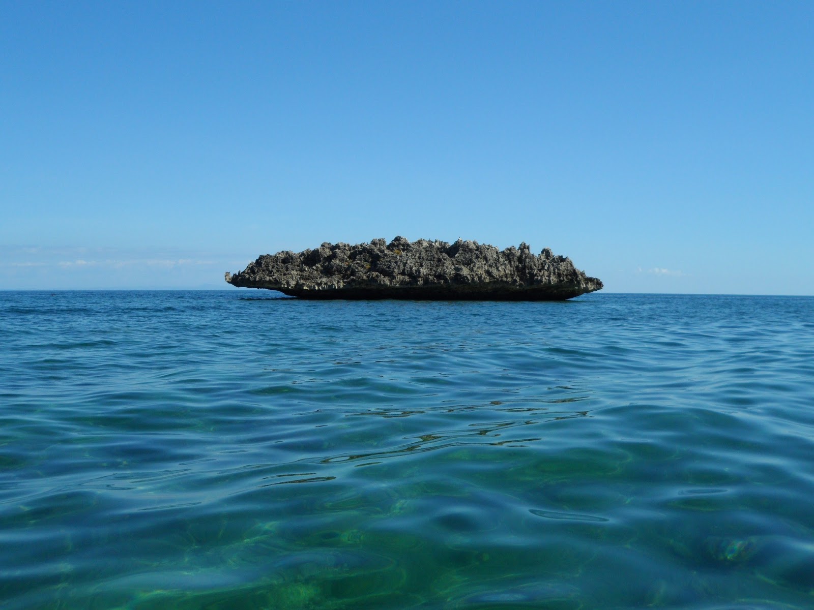 RD Traveller: TINMR Escapade (Taklong Island National Marine Reserve)