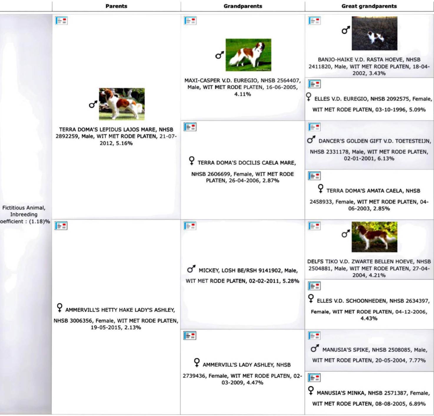 Aglitter : Nest / Litter