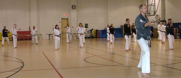 Sai-jutsu - Soke Hausel's Guide to Okinawa Kobudo: SAI - OKINAWAN ...