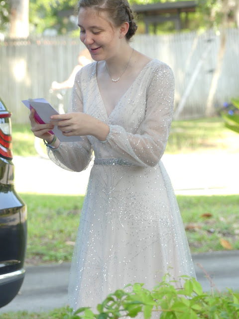 Monica Wilkinson: Emily Prom