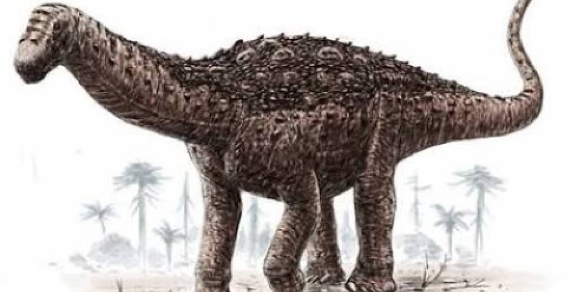 Fundacion Dinosaurios Cyl: Hallan primer fósil de dinosaurio enano en ...