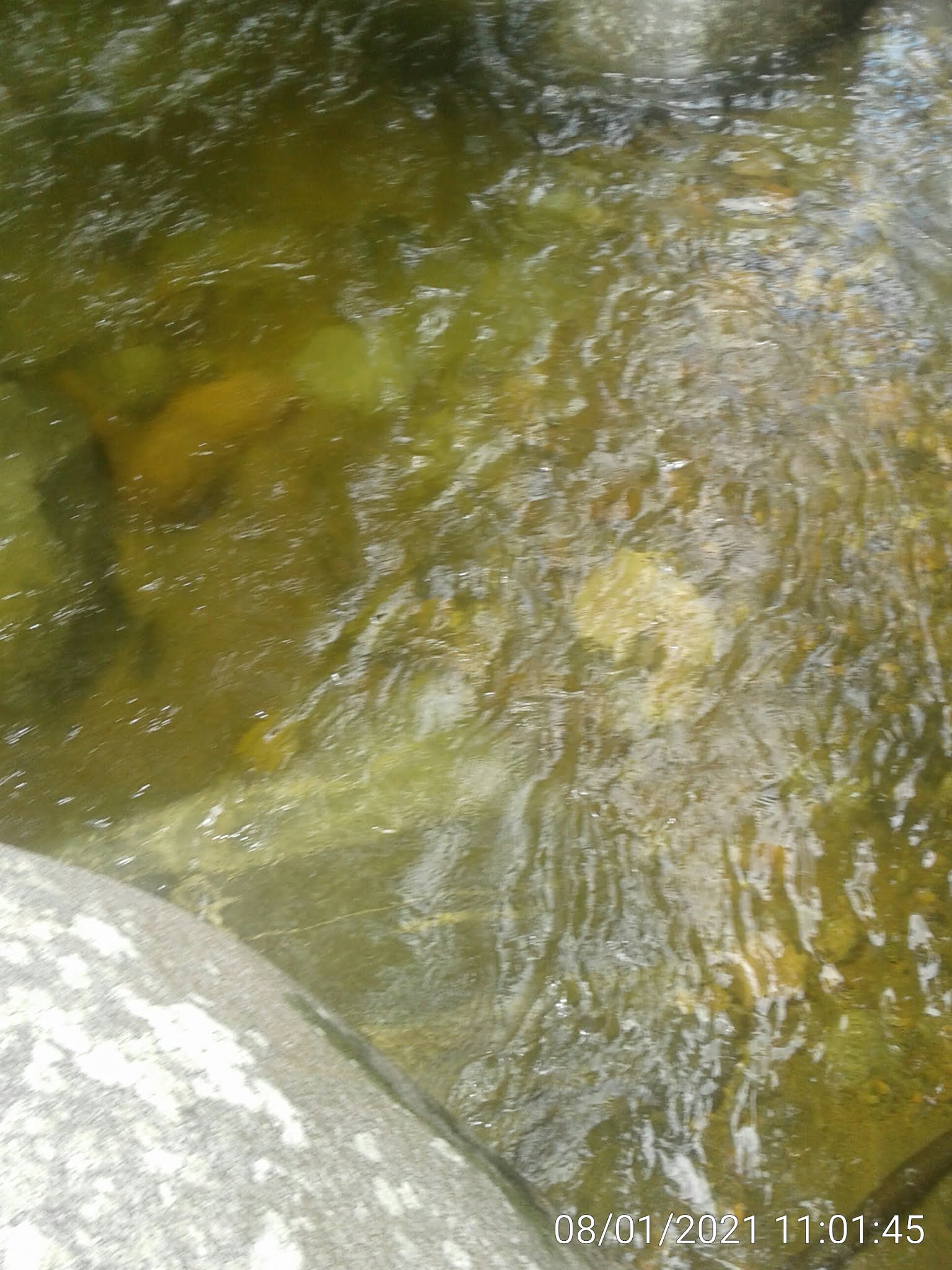 Carioca que ama o Brasil e estado do Rio de Janeiro. Valorizando sua ...