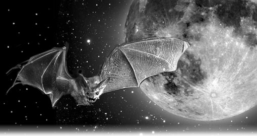 Harold Camping: MOONBAT | Bloviating Zeppelin