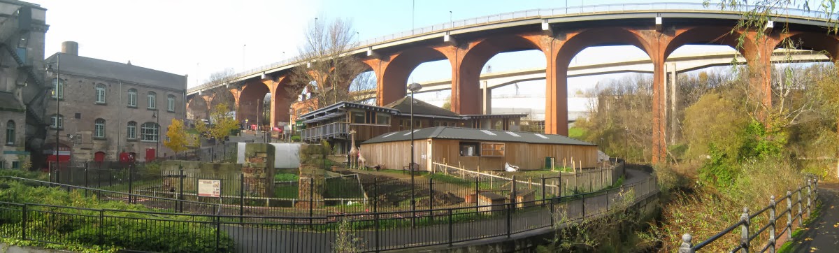 Photographs Of Newcastle: Ouseburn Farm