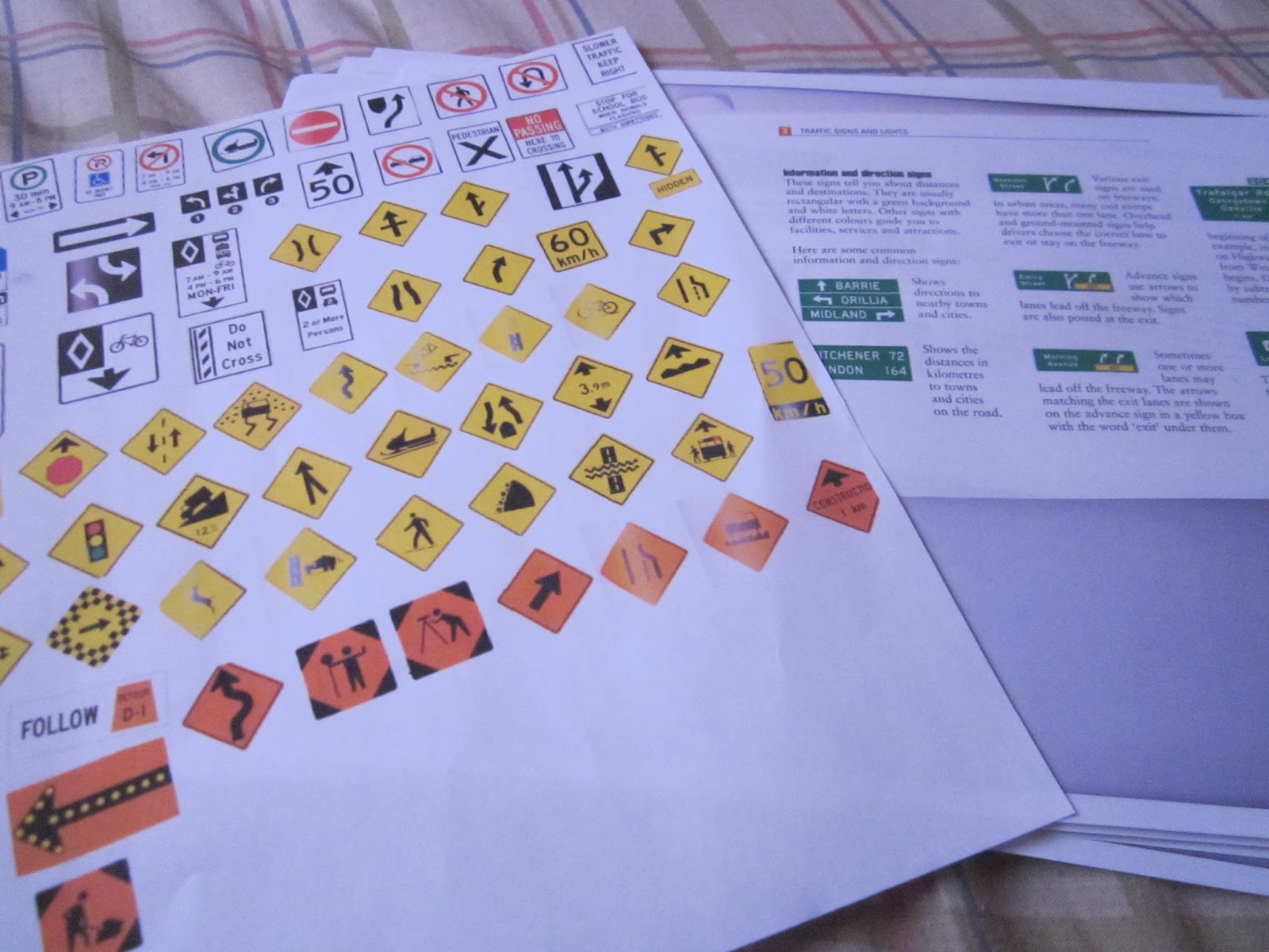 Getting Driving Knowledge Ready - City of Creative Dreams