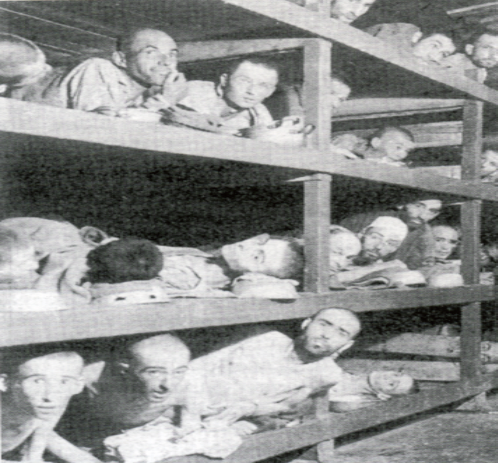 Holocaust: Holocaustul in imagini