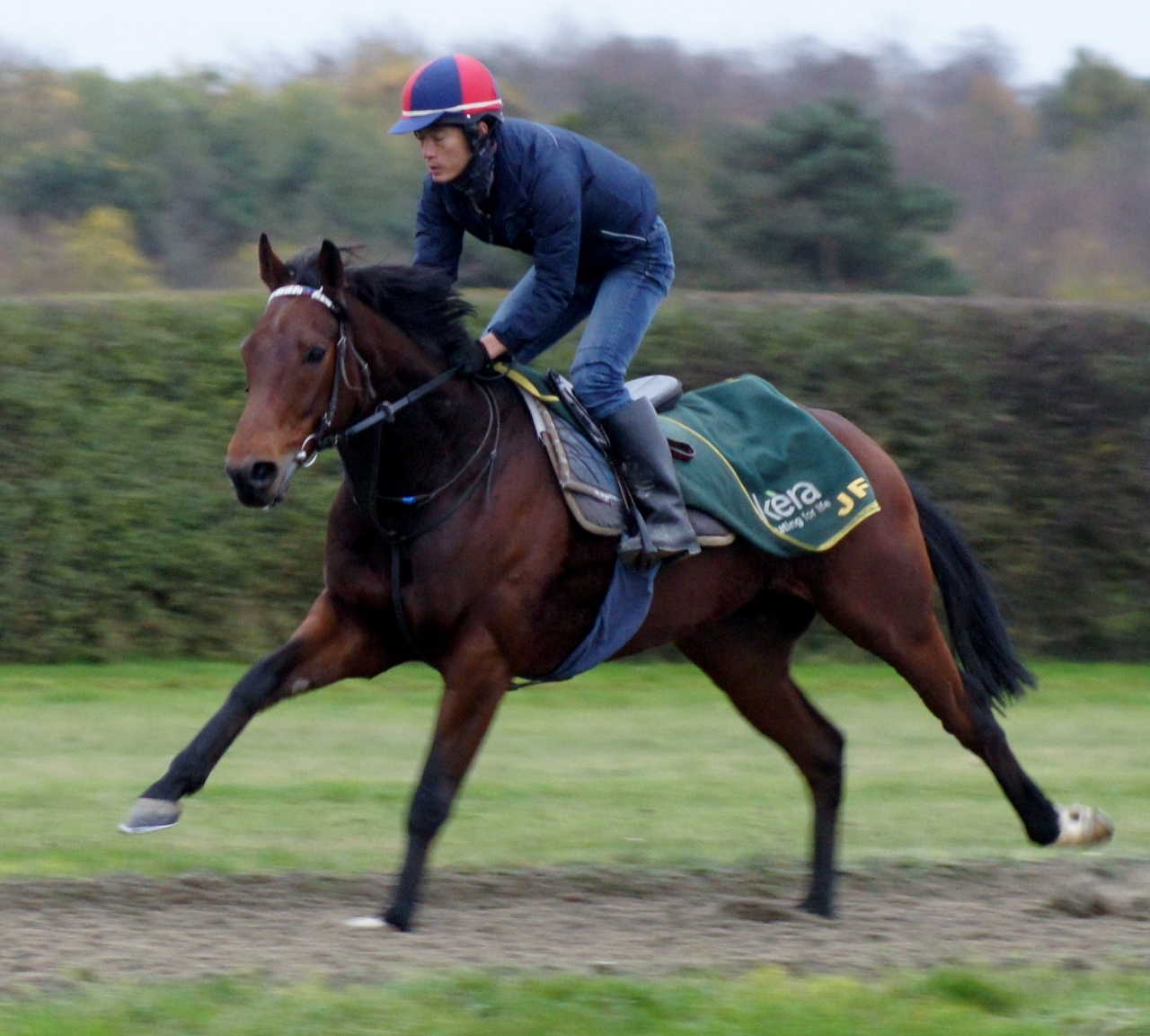 Julia Feilden Racing: RIP Pat