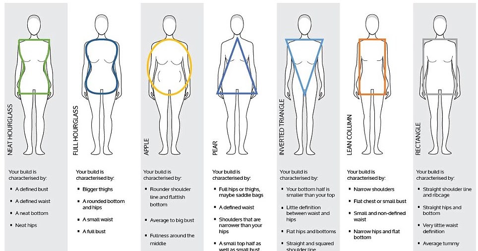 Female Body Types Explained: How to Go From Endomorph to Hourglass