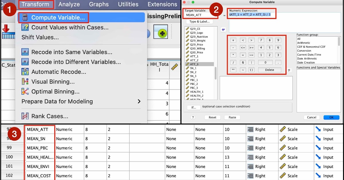 How to Compute for the Construct Mean and Standard Deviation in SPSS