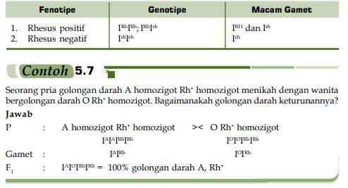 Pola Pewarisan Sifat Organisme - Pustaka Belajar