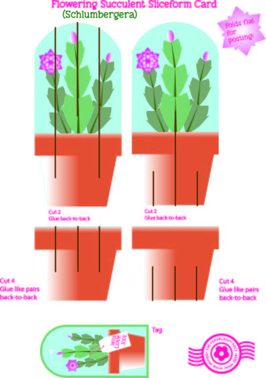 The Papercraft Post: Flowering Succulent Sliceform Card