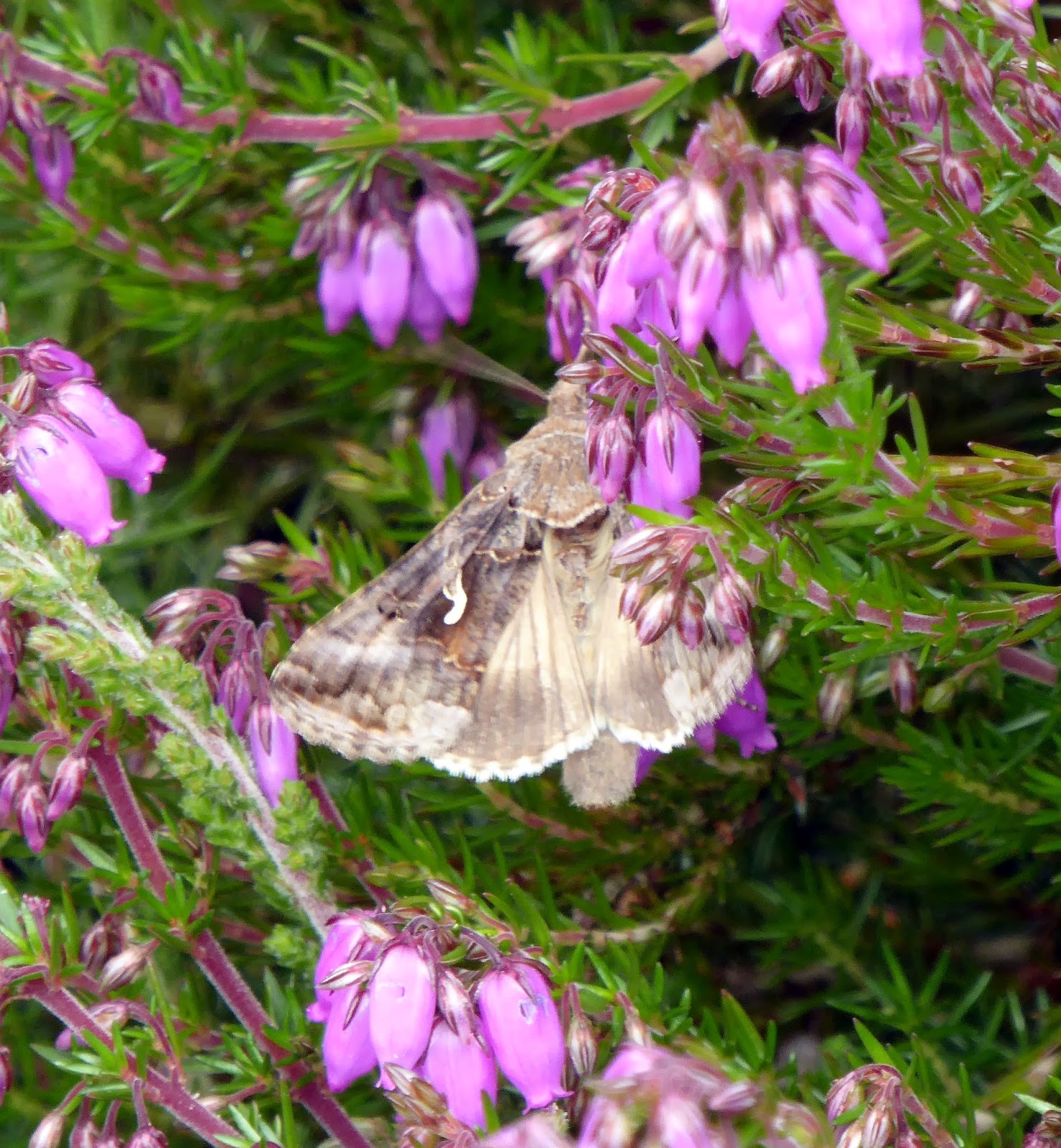 Wild and Wonderful: September 2017