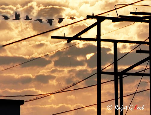 RajatGhosh Editorial Photographer: Straight line and nature