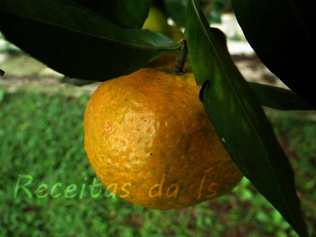 Receitas da Ís: Saboroso E Fofinho, BOLO DE MEXERICA DO RIO....{Bolos ...