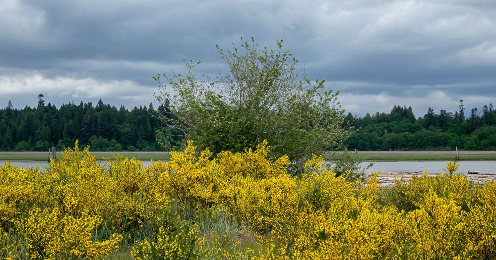 Views From Mount Dunbar: Spring resurgence