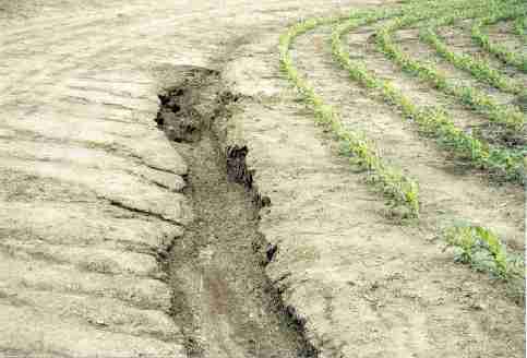 DESGASTE DEL SUELO: LA EROSION