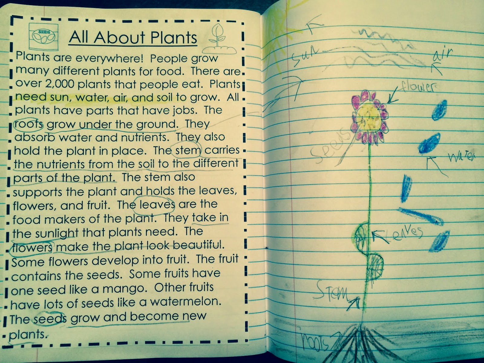 Who's Who and Who's New: It's Planting Season!