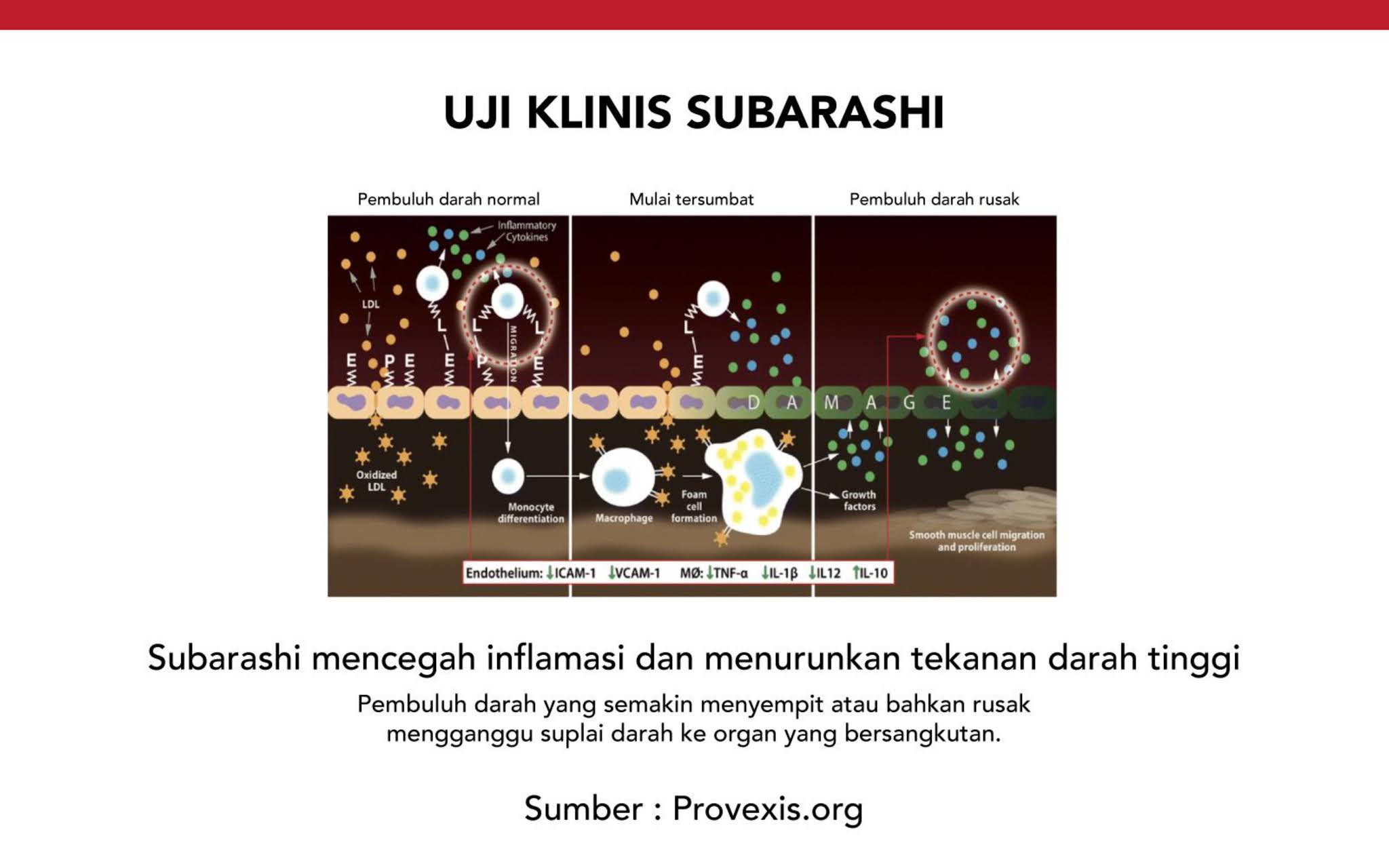 SOP SUBARASHI, UTSUKUSHHII, SOP 100+ dan SENSEI SURU AFC: SOP SUBARASHI