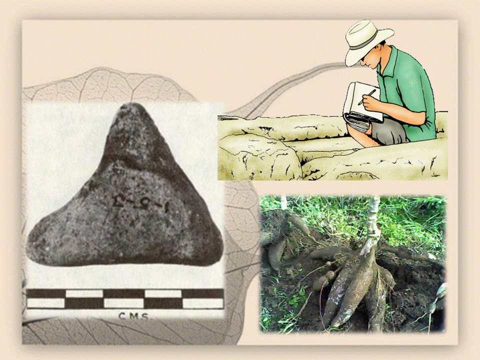 MALAMBO, ETNIA Y ARQUEOLOGÍA