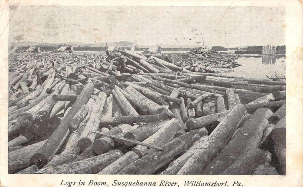 Valley Girl Views: The Lumber Boom In Williamsport