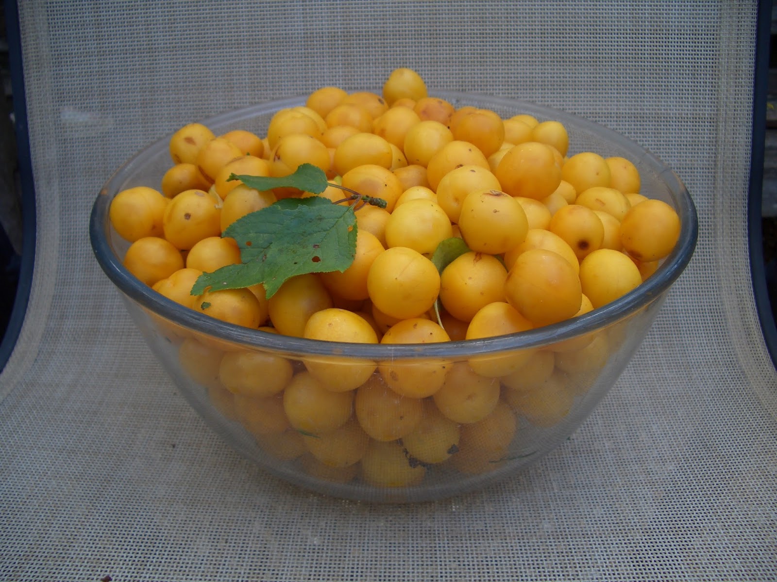 JamMK: So what on earth are mirabelles?!