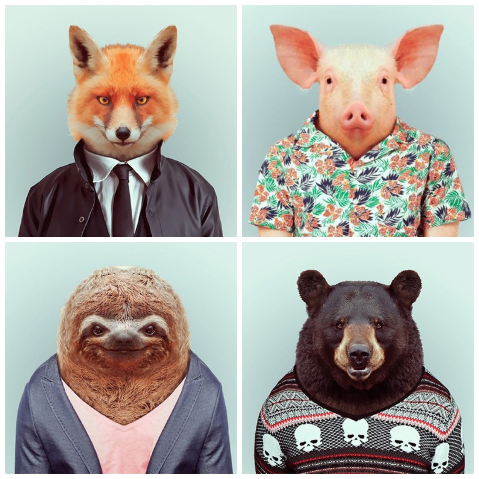 Fashion Zoo Animals - Campus Mercante