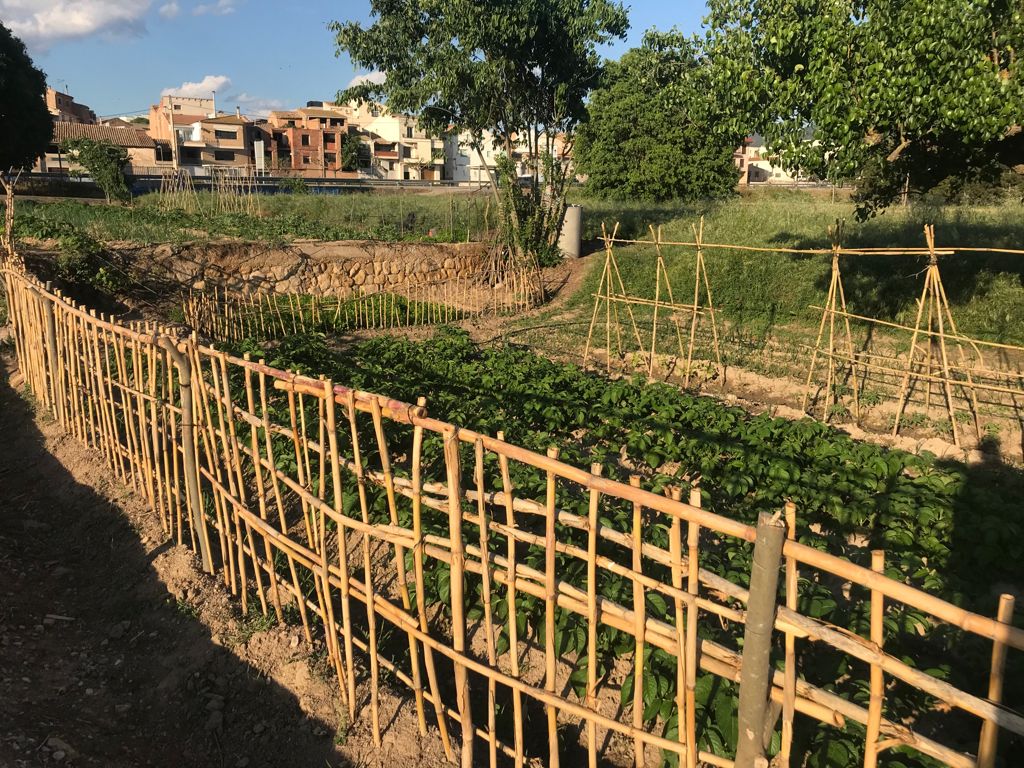 Quina canya! Joguinetes: Tanques i altres usos de la canya