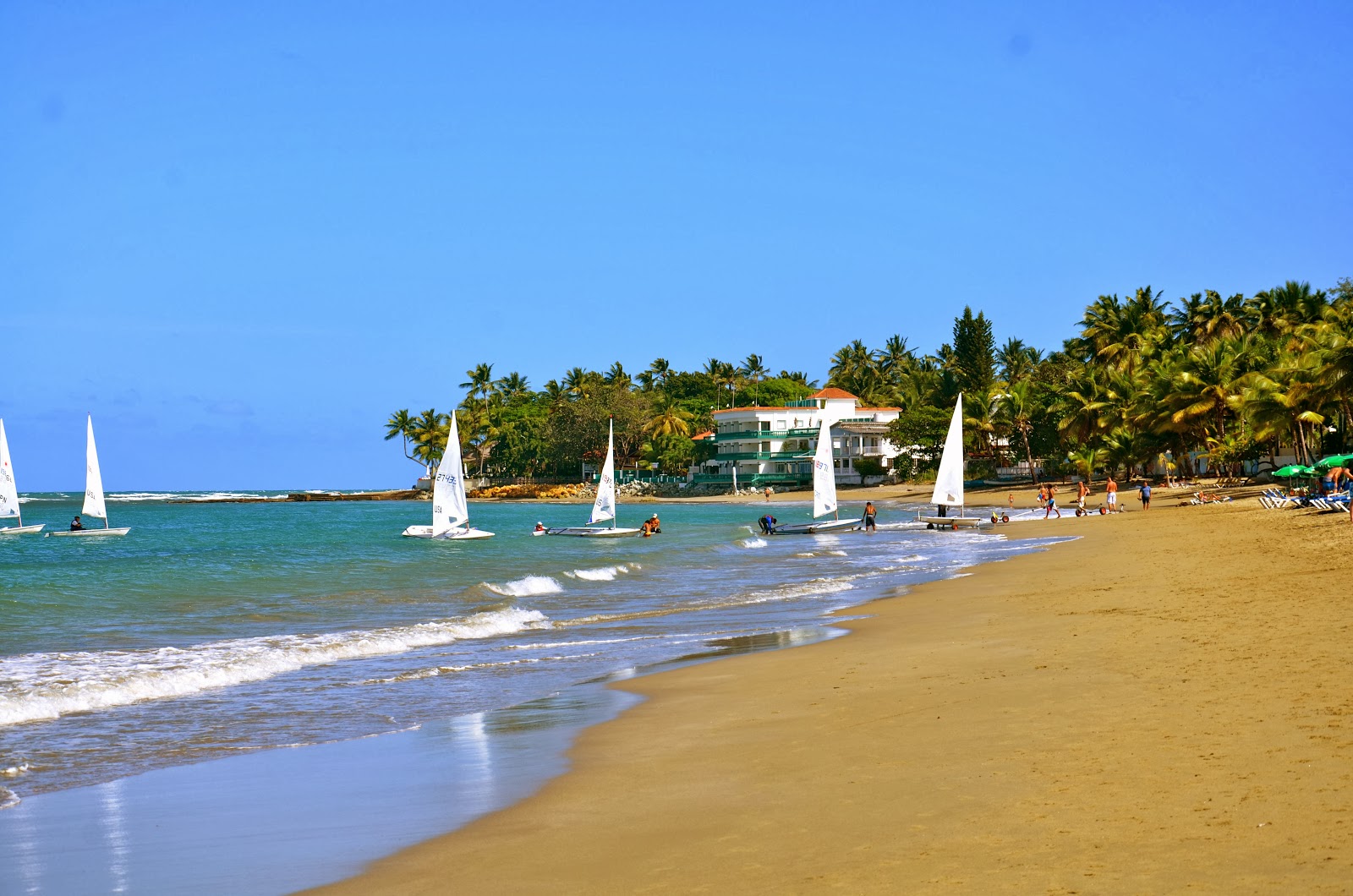 wyattsailing: Visiting Cabarete, Dominican Republic: The Kiteboarding ...