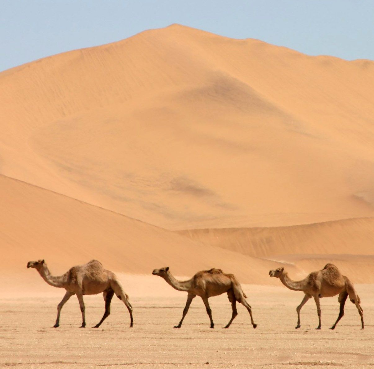 Andréa Bromhed. Agerar lokalt för att påverka globalt!: Kliv av era ...