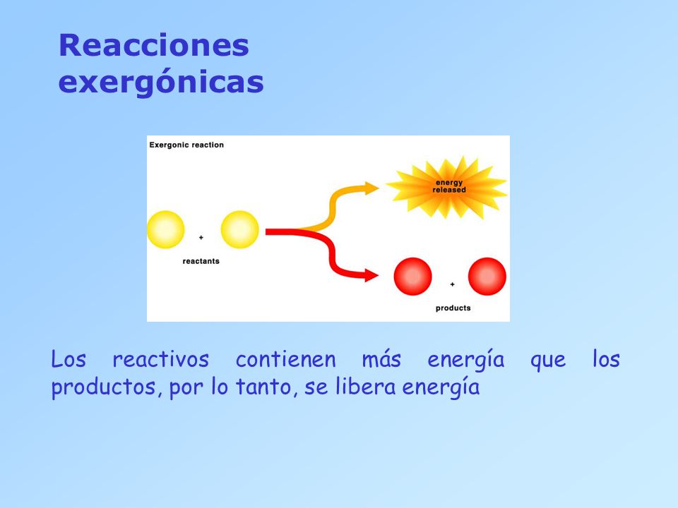 Bioquimica Gabriela: SABERES CONCEPTUALES