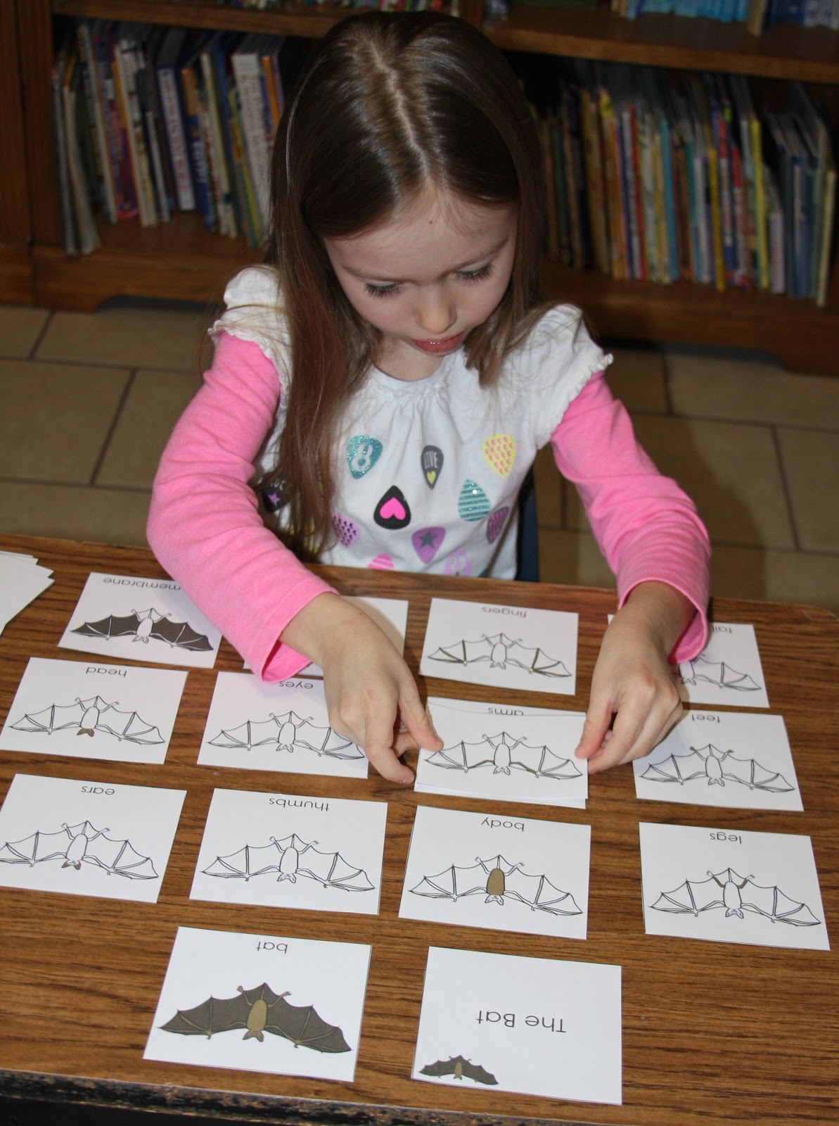 A Learning Journey: Bat Unit: Anatomy