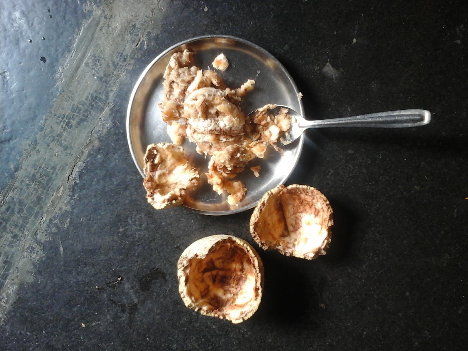 SVL Ayurvedic Healing Herbs: Velaga Pandu ( Wood Apple)