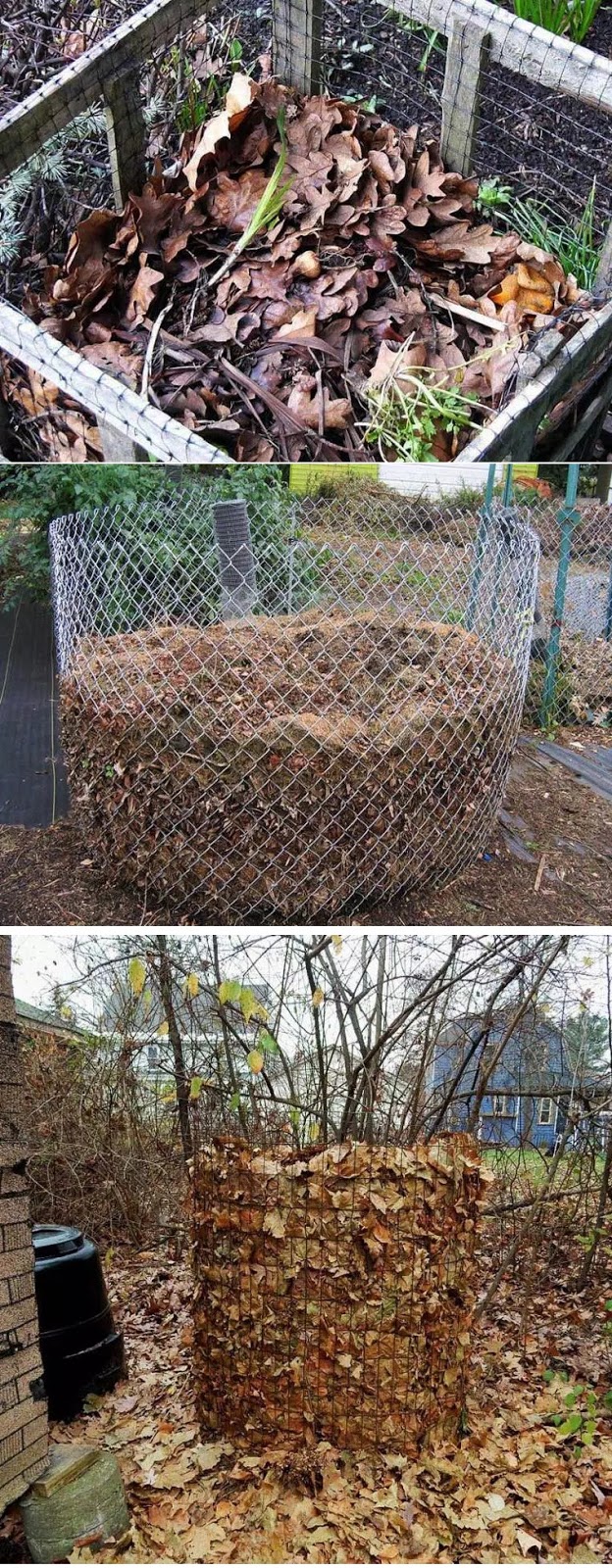 Using Leaves for Composting - garden favorite