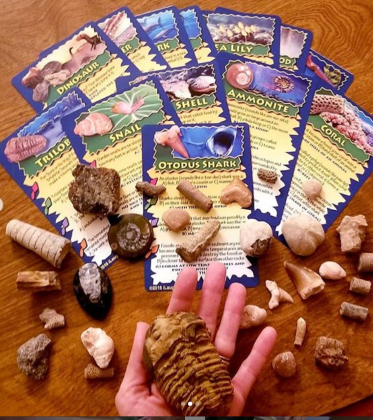 Preschool STEM: Fossil Hunt | Preschool Powol Packets