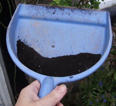 French Vocabulary Illustrated: suie