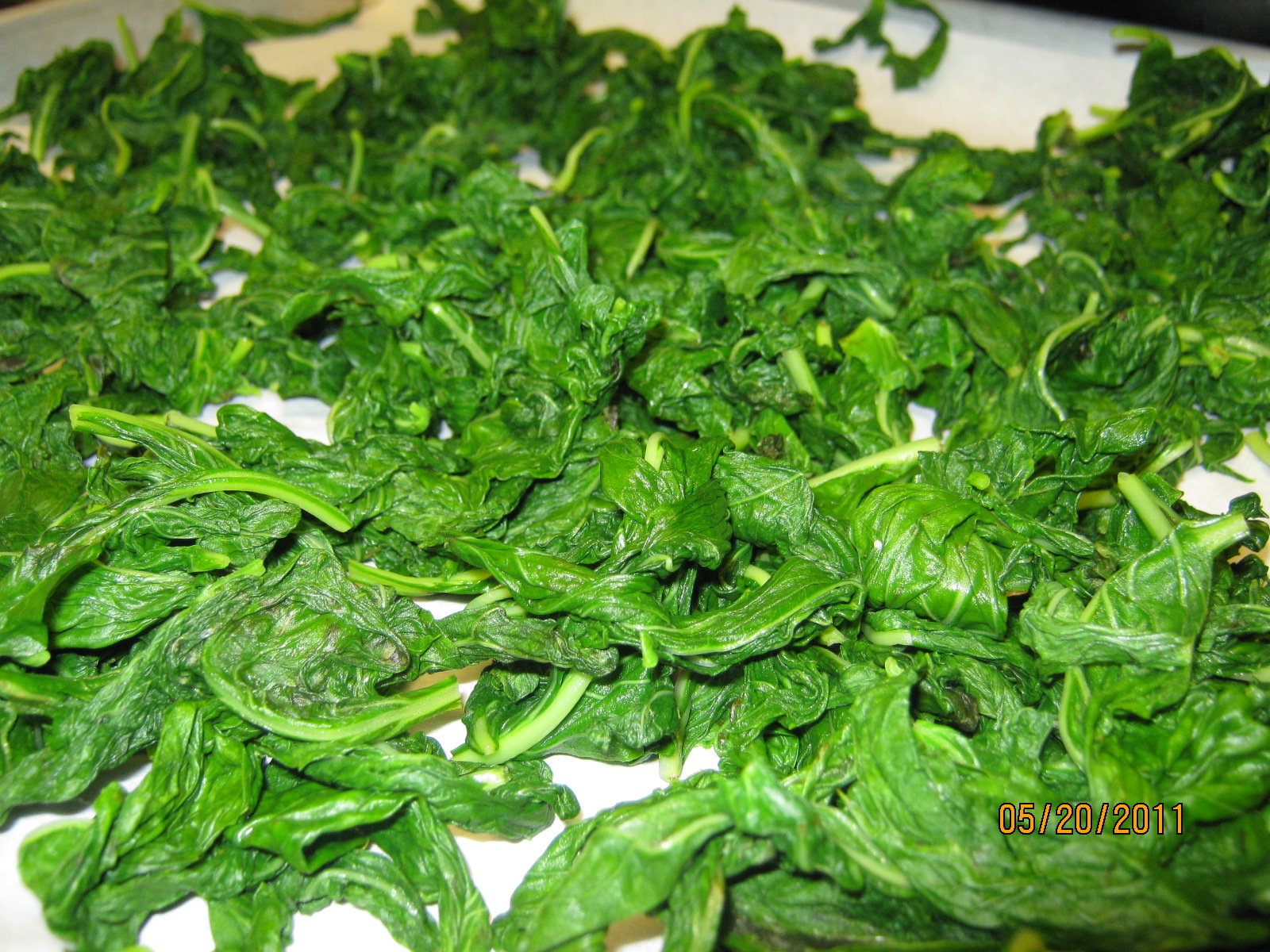 J. Gilbert's 826 Test Kitchen/Chef's Tasting Log: Basil Gelee