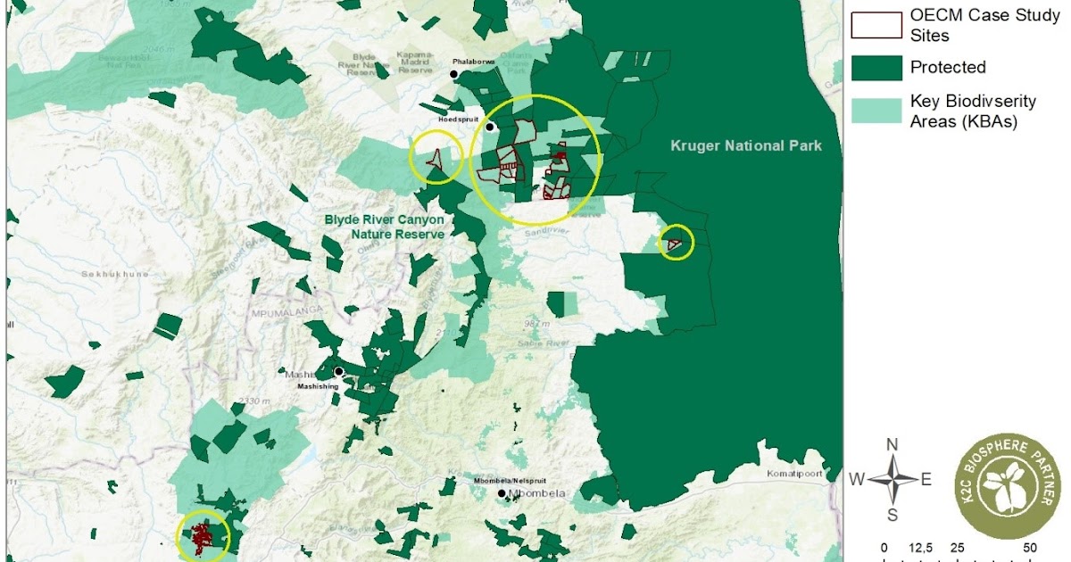 OTHER EFFECTIVE AREA-BASED CONSERVATION MEASURES (OECMs) AND WHY THEY ...
