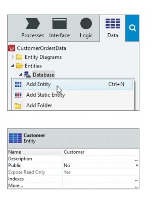 OutSystem Entities and Variables