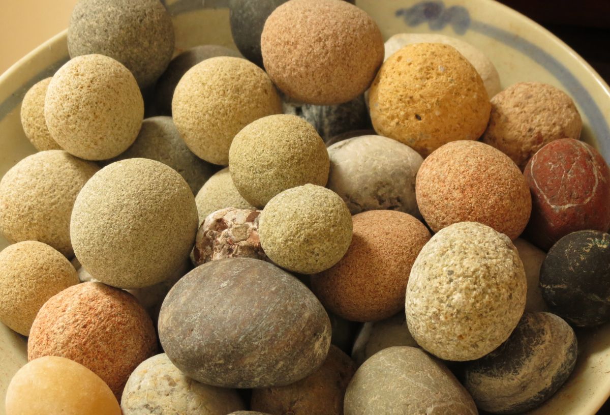 Sharon Lovejoy: Beach Walks and Lucky Rocks