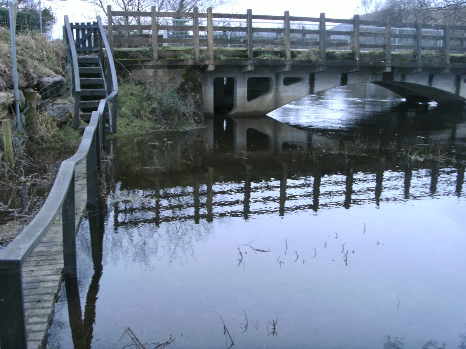 SALMON FISHING IRELAND 2023: Opening Day Salmon Season 2014," The Laune ...