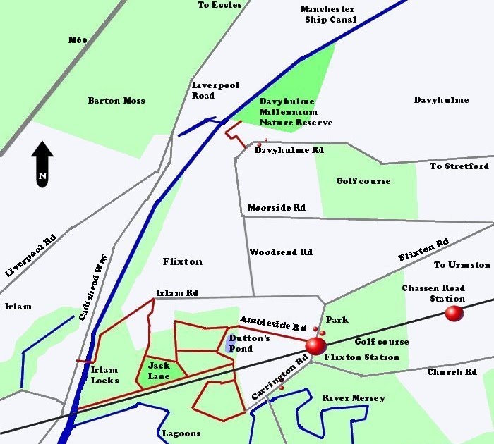 Bits of Birdwatching Stuff: Flixton