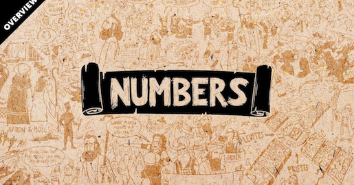 Useful Breath: THE BIBLE PROJECT: NUMBERS