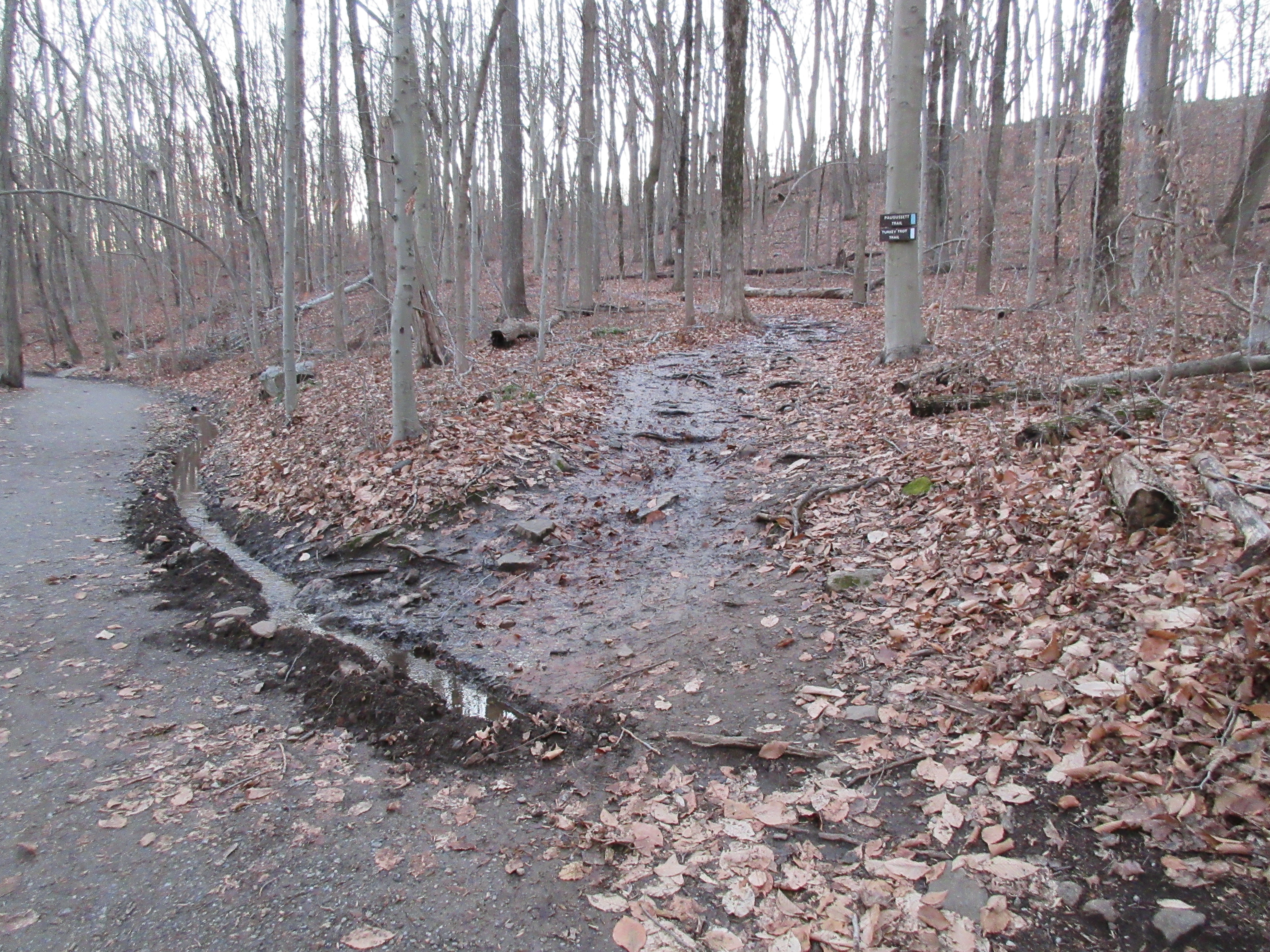 Shelton Trails Committee: Are Water Bars open during Covid?